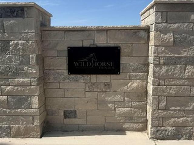 143 Bison Creek Way, Tuscola, TX 79562