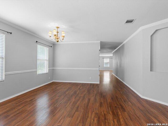 143 Blue Juniper