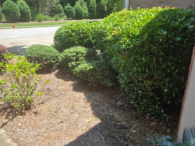 143 Ellis Drive