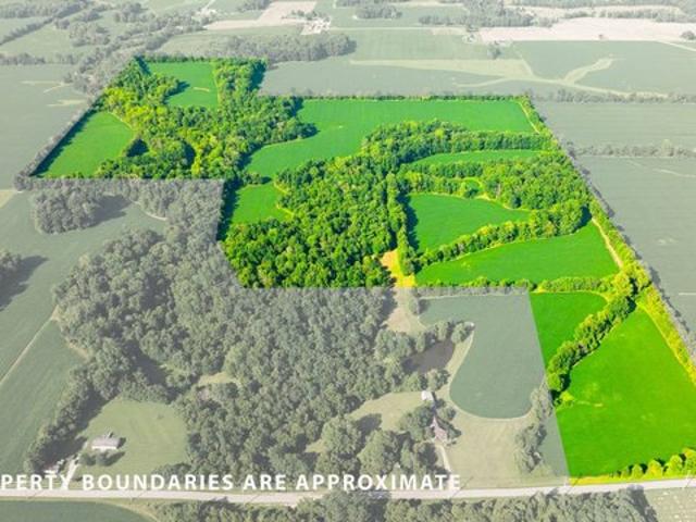 143 Feesburg Poetown Rd, Hamersville, OH 45130