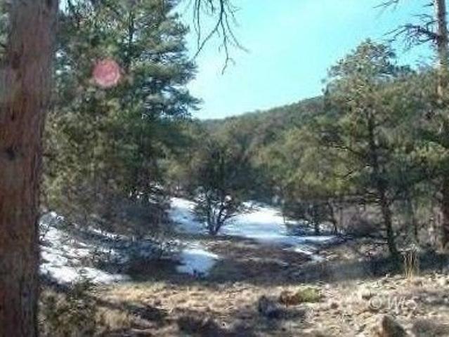 143 Ive Pl, Cotopaxi, CO 81223