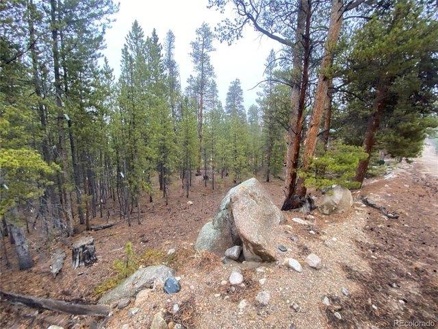 143 Juniper Dr, Twin Lakes, CO 81251