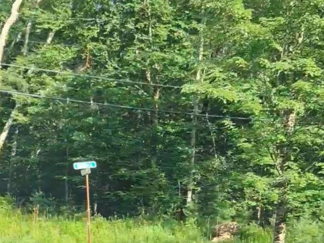 143 Mountaindale Road