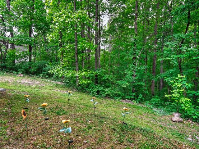 143 Swiper Dr, Smithville, TN 37166 | MLS #3184