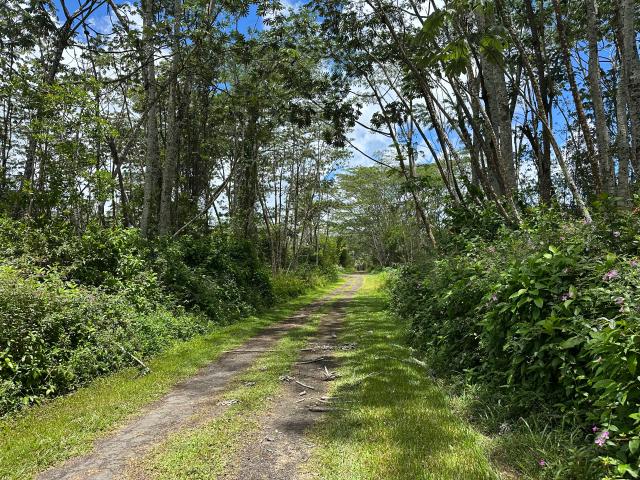 143 Plumeria Rd, Pahoa, HI 96778 | MLS #722867