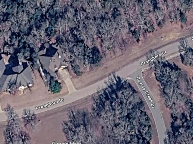 143 Pronghorn Drive