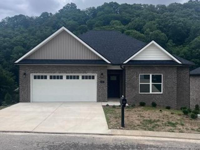 143 Quiet Stroll Ln, Gray, TN 37615