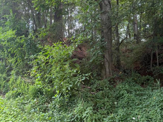 143 Randolph Fridley Road
