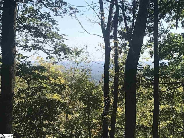 143 Raptor Way, Landrum, SC 29356 | MLS #1586 | Compass