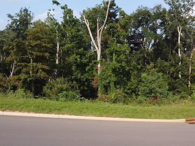 143 Reedmont Way, Sevierville, TN 37876