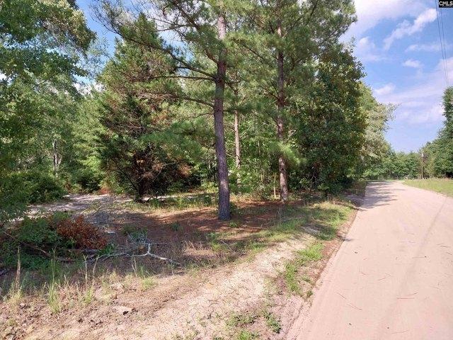 143 Tom Lucas Ln, Pelion, SC 29123