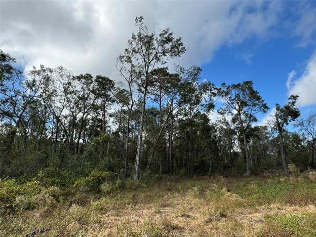 143rd Dr, O'Brien, FL 32071 | MLS #R4908 | Compass