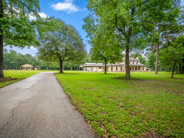 14444 Pine Tree Road