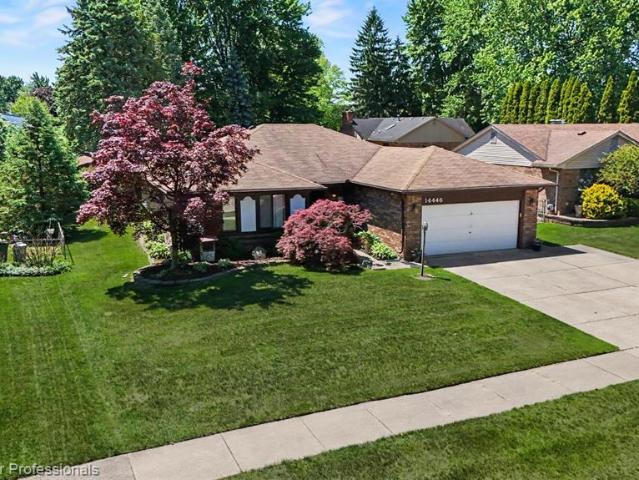 14446 Longview Drive