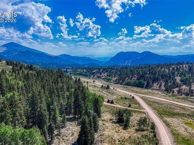 1444 Anges Dr, Cripple Creek, CO 80813
