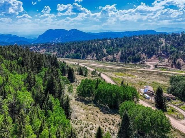 1444 Anges Dr Lot 3, Cripple Creek, CO 80813