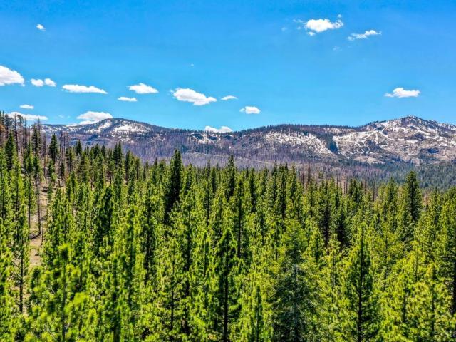 1444 Apache Ave, South Lake Tahoe, CA 96150 | MLS #141474 | Compass