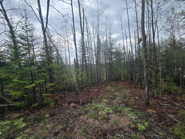 14453 W Shoreline Dr, Wolverine, MI 49799