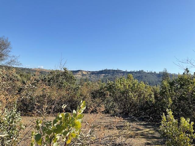 1445 Gallows Rd, Murphys, CA 95247 | MLS #225600