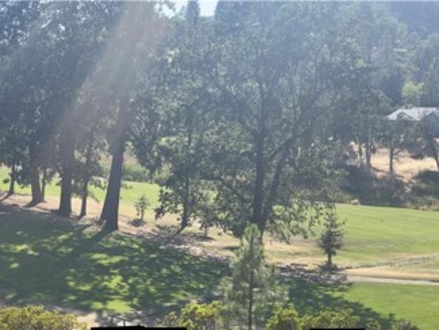 14461 Snead Dr, Cobb, CA 95426 | MLS #LC24142