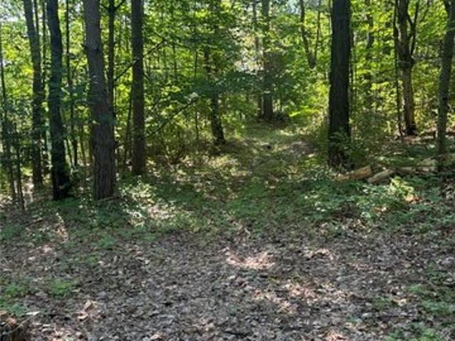 14474 Maple St, Harrisville, NY 13648