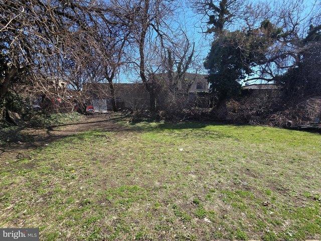 1447 00 N Paxon St, Philadelphia, PA 19131