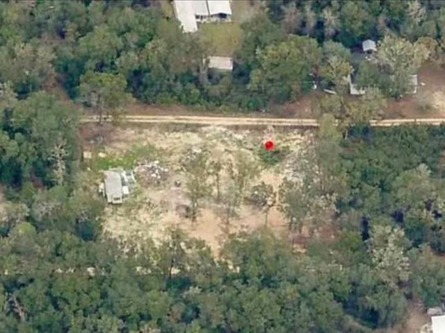 14481 NE 190th Pl, Fort McCoy, FL 32134