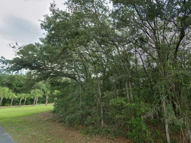 1449 E Wedgewood Ln, Hernando, FL 34442