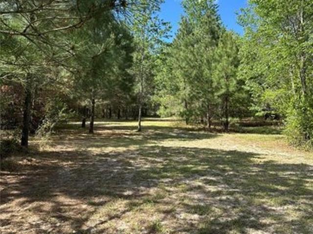 1449 SE October Rd, Lake City, FL 32025
