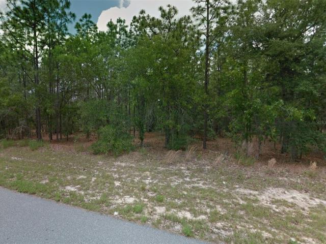 1449 W Omaha Pl, Citrus Springs, FL 34434 | MLS #OM718643 | Compass