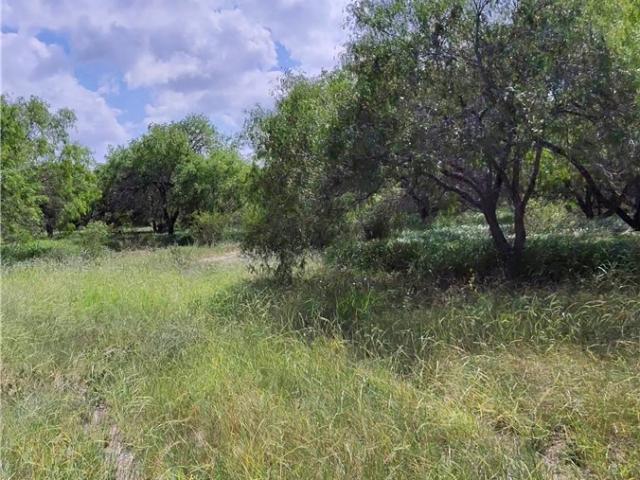 14417 County Road 1478