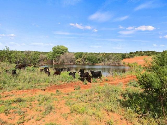 1441 County Road 362, Dickens, TX 79229
