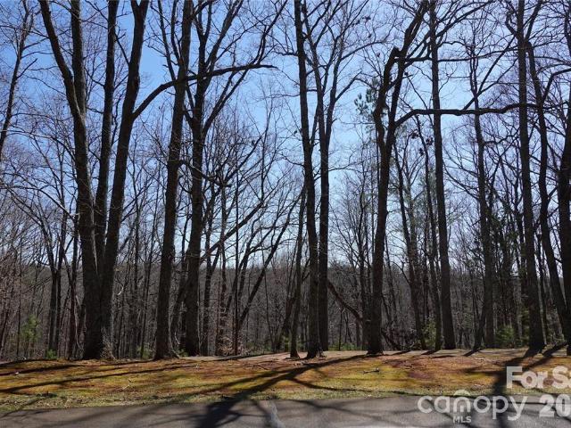 14427 Roe Buck Meadow Lane