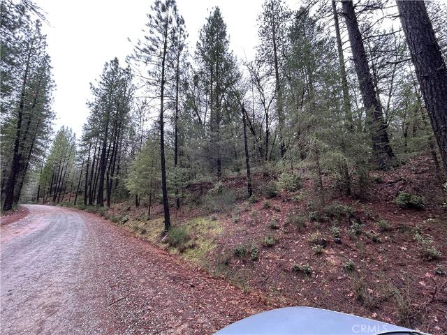 14435 Grizzly Hill
