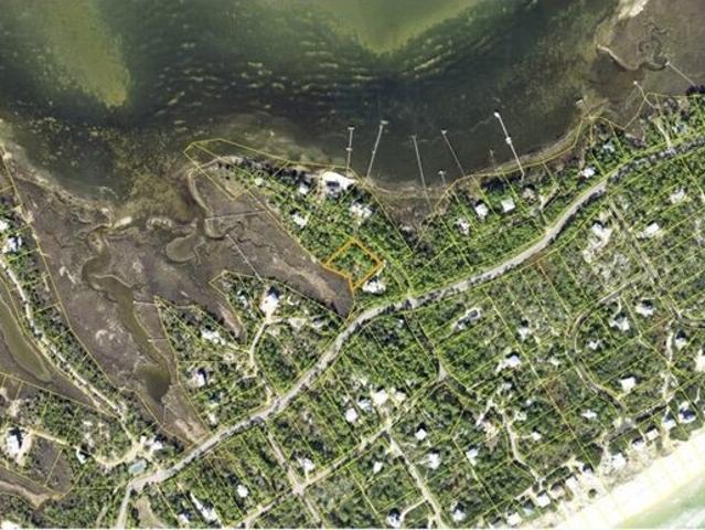 1443 Dove Ln, Saint George Island, FL 32328