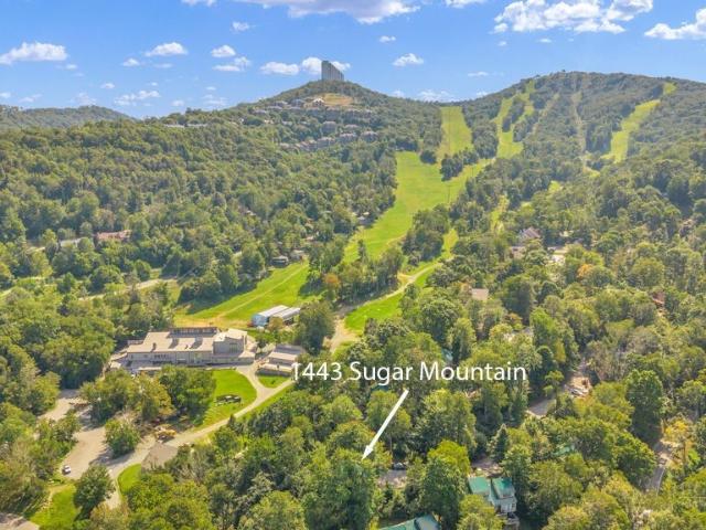 1443 Sugar Mountain Drive G37 B
