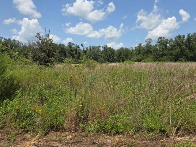 144th St, Live Oak, FL 32060