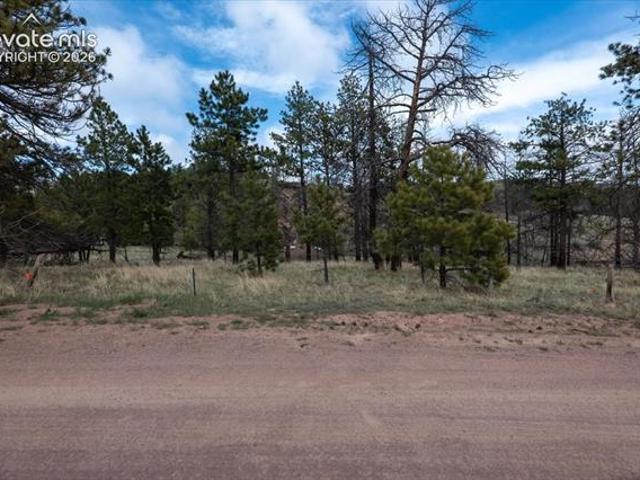 144 Chapparal Trail