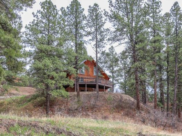144 Blue Creek Rd, Pagosa Springs, CO 81147