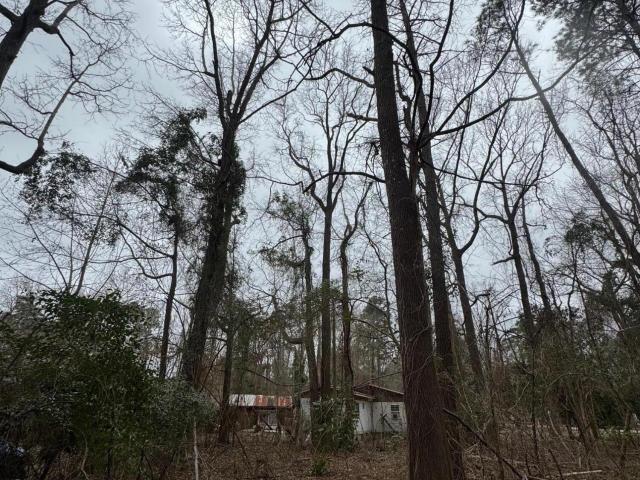 144 Hemlock Street # 98