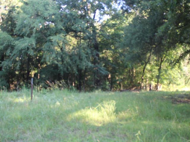 144 Hempstead 1300