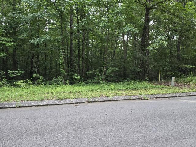144 Lower Brow Road