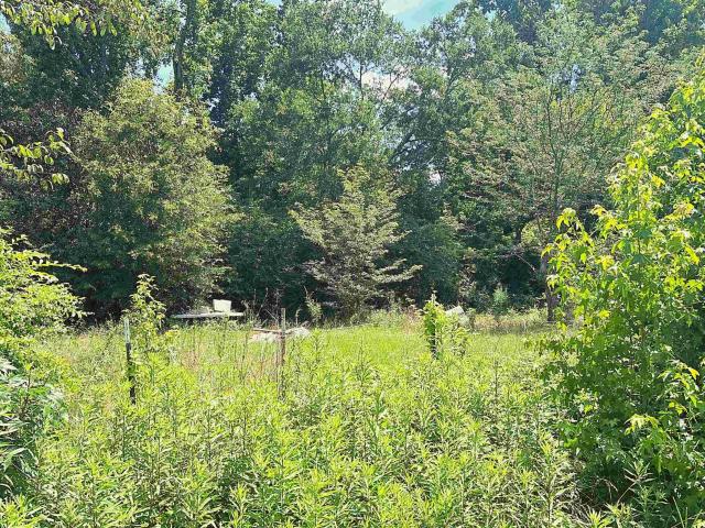 144 Mountain Creek Road