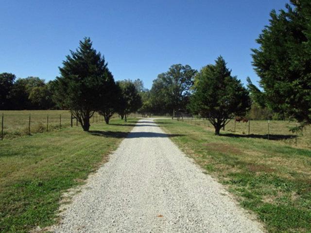 144 Mary Adams Rd