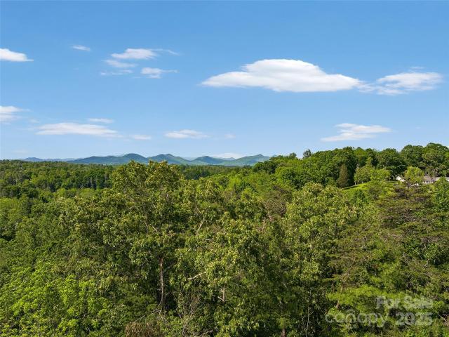 144 Pinebrook Rd, Weaverville, NC 28787 | MLS #4263 | Compass