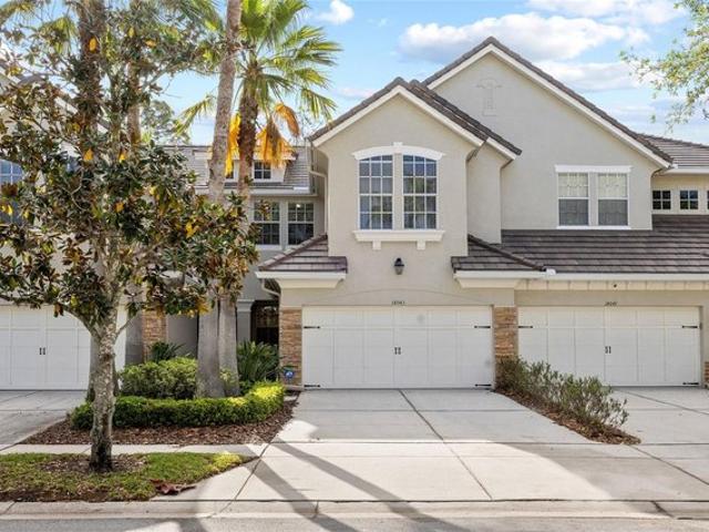 14543 Mirabelle Vista Cir, Tampa, FL 33626