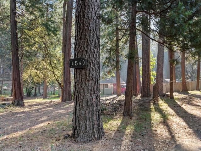 14540 Wood Dr, Magalia, CA 95954 | MLS #SN26026