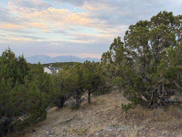 14542 S Shaggy Mountain Rd Unit 2, Herriman, UT 84096