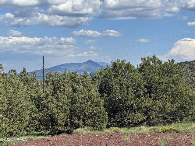 14556 Howard Mesa Loop, Williams, AZ 86046