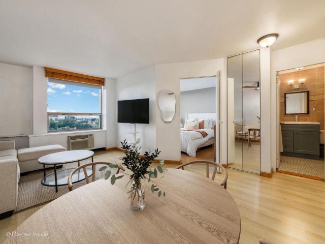 1455 N Sandburg Terrace # 803